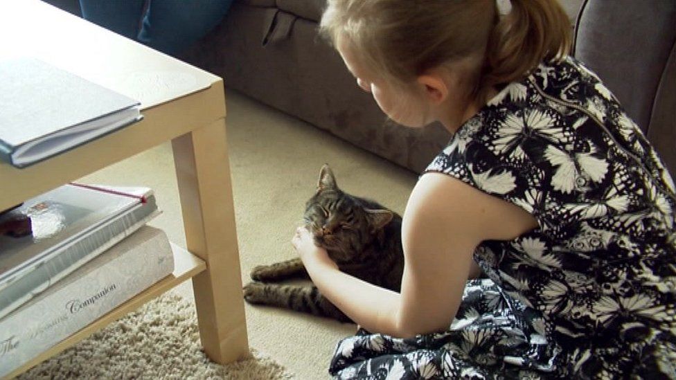Bereaved Sussex girl's cat allowed to stay - BBC News
