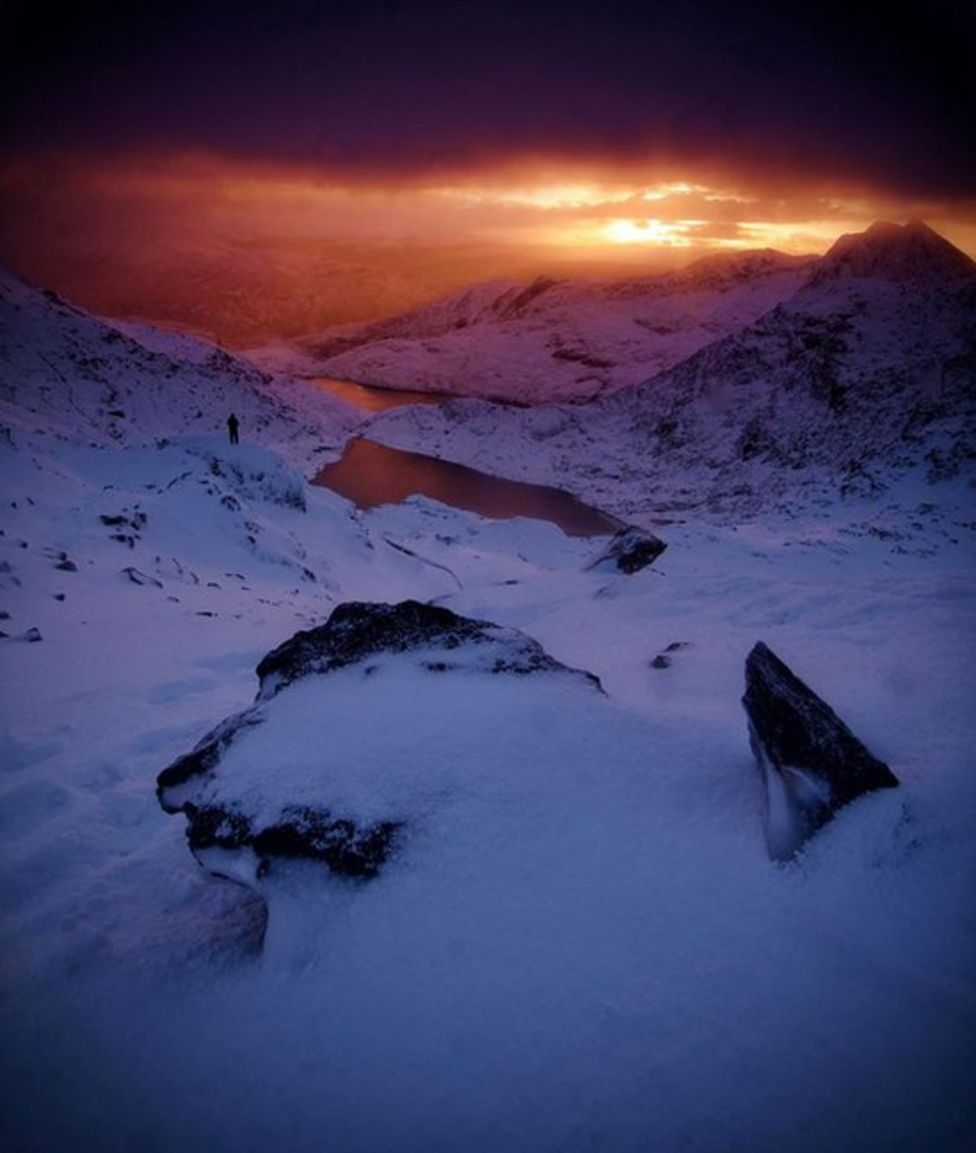 Lluniau: Golygfeydd gaeafol fis Ionawr - BBC Cymru Fyw