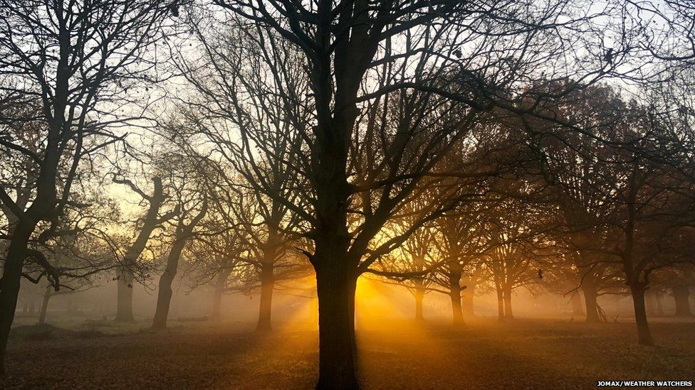Wonderful winter morning scenes - BBC Weather