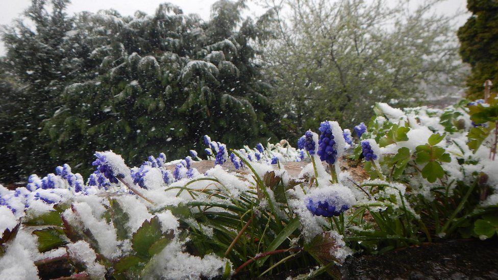 April snow expected to continue across country - BBC News