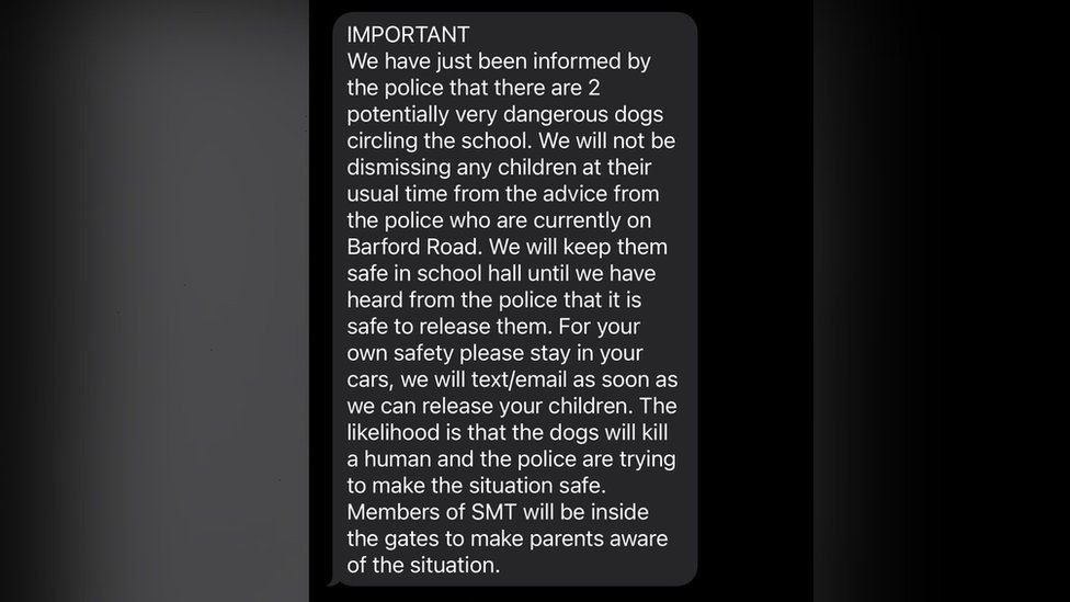 Birmingham dog attack victim feared for schoolchildren - BBC News