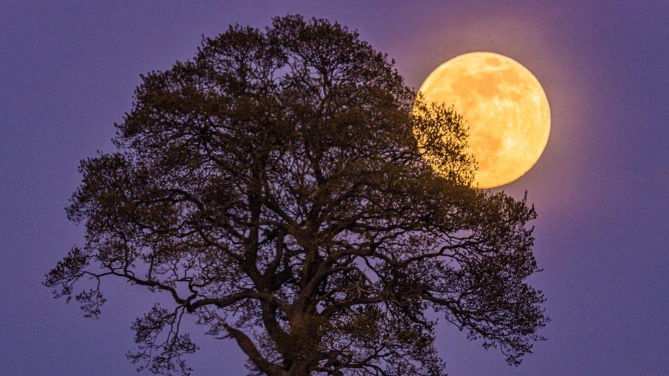 Sturgeon Moon lights up South West sky - BBC News