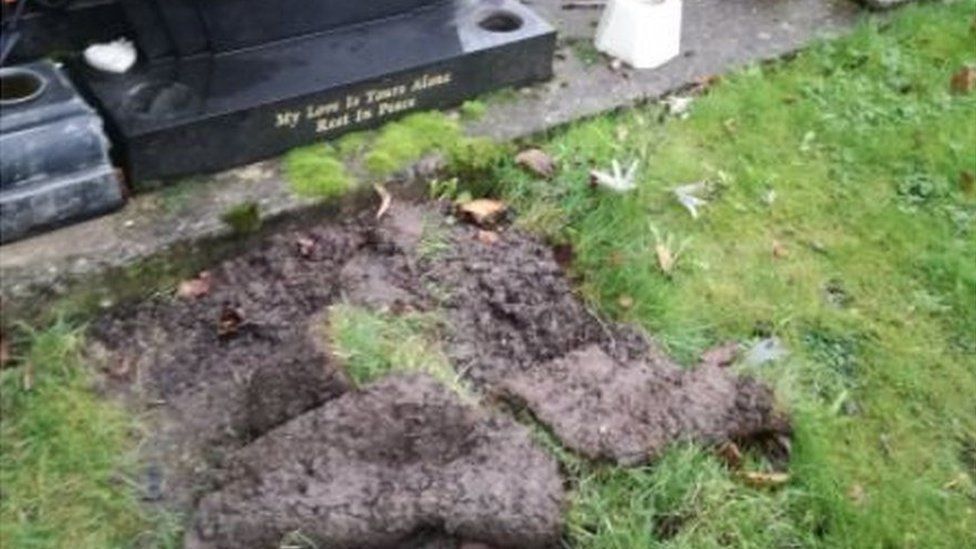 Family 'devastated by badger attack' on father's grave - BBC News
