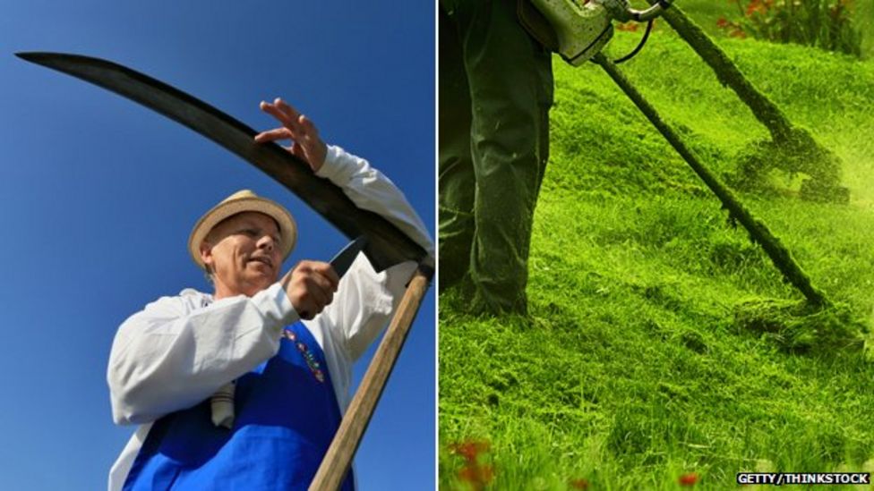 Poldark influence helps Wimpole scything festival - BBC News