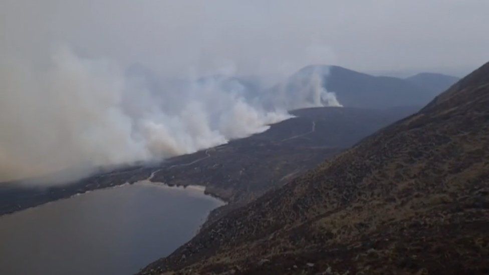 Spate of wildfires cause major environmental damage - BBC News