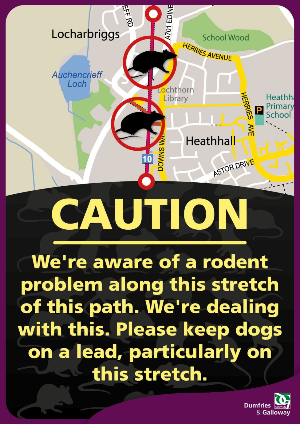 Rat 'infestation' found along Dumfries cycle path's route - BBC News