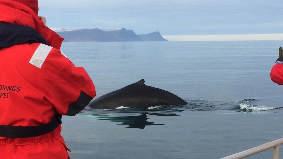 RNLI volunteer swaps Loch Ness for Iceland - BBC News