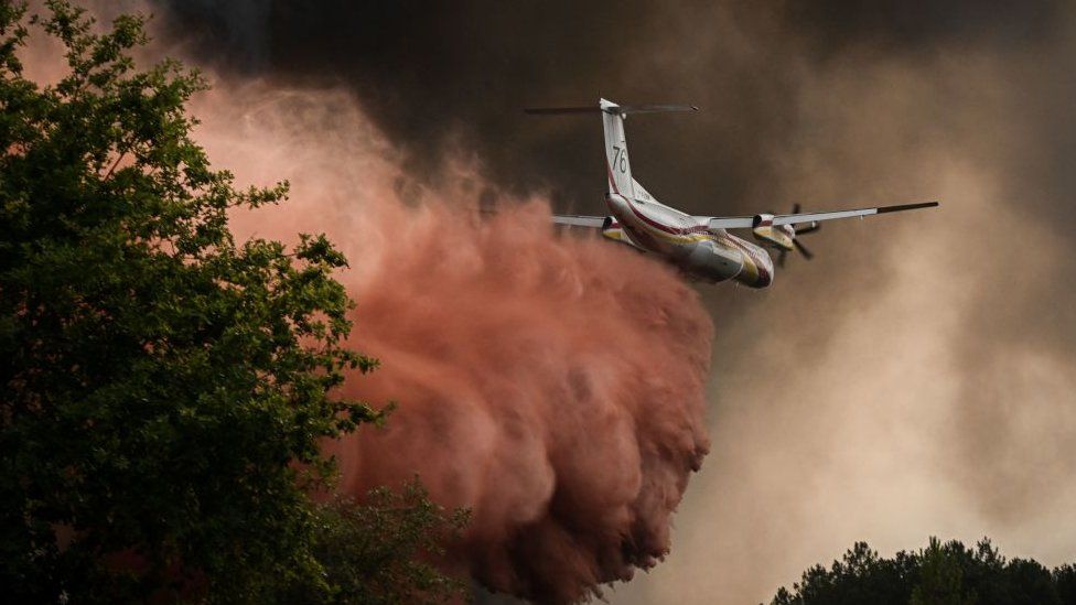 Europe wildfires burn area a fifth of the size of Belgium - BBC Newsround