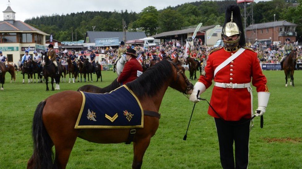 Welsh mountain pony Trooper Jones promoted by Welsh Cavalry - BBC News