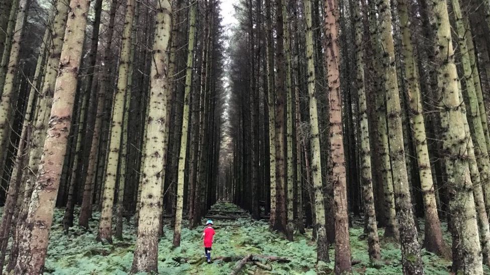 Your pictures of Scotland: 25 August - 1 September - BBC News