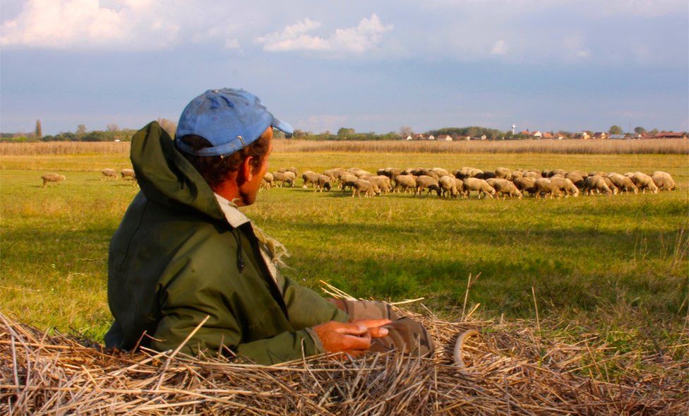 Your pictures on the theme of 'relaxing' - BBC News