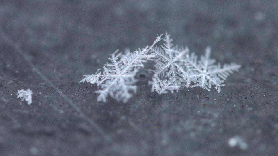Beautiful snowflakes photographed by BBC Weather Watchers - BBC Weather