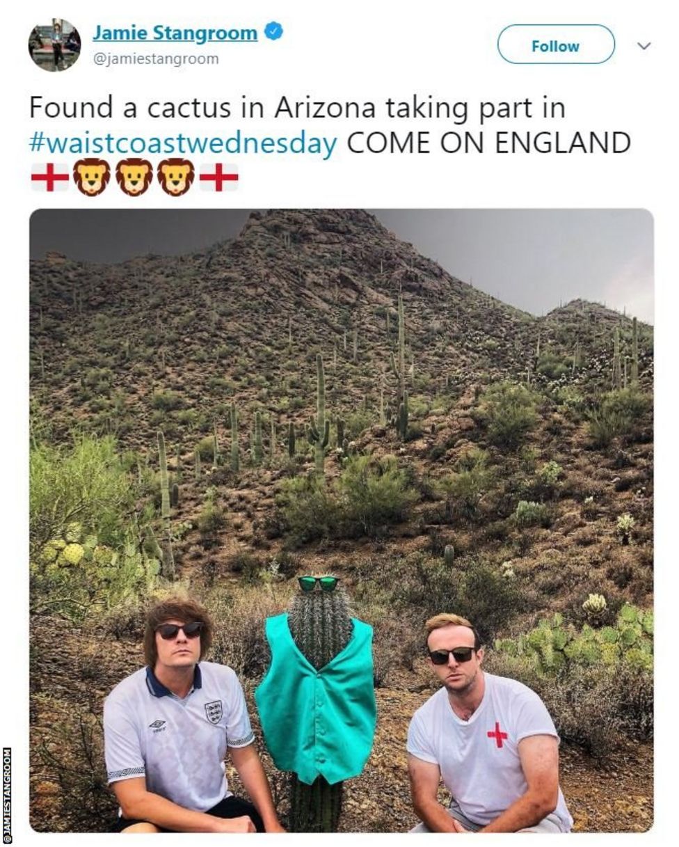 'Thank you, Mr Southgate, for giving us hope' - what you loved about ...