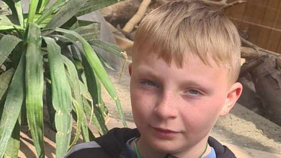 Bachgen, 10, yn achub ei frawd iau rhag ymosodiad ci - BBC Cymru Fyw