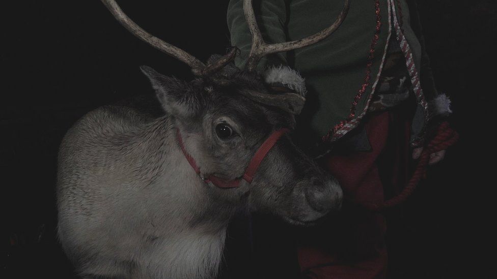 Ho! Ho! Ho! Neges gan Siôn Corn - BBC Cymru Fyw