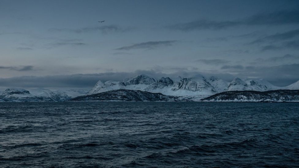 Oban-based scientists in deep sea Arctic life study - BBC News