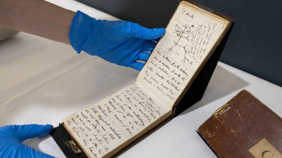 Charles Darwin: 'Lost' notebooks to go on display after 20 years! - BBC ...