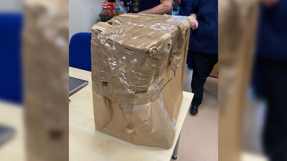 Leicester: Three kittens found dumped in taped-up cardboard box - BBC News