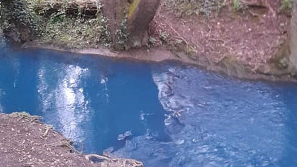 River Sence was turned blue by dye, says Environment Agency - BBC News