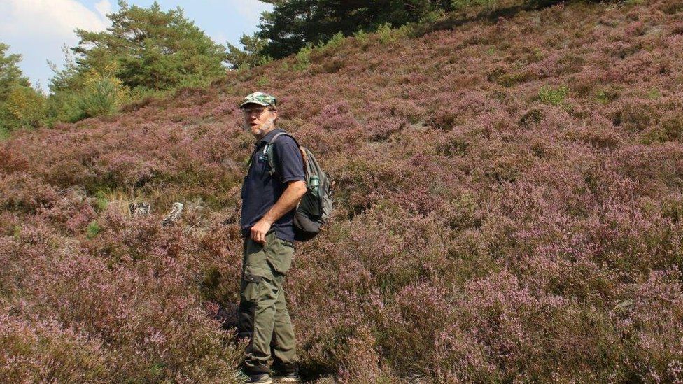 Great fox-spider rediscovered on MoD land in Surrey - BBC News