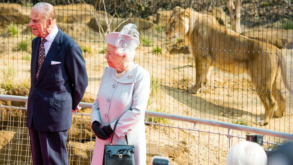 In pictures: The Queen opens London Zoo's new lion enclosure - BBC News