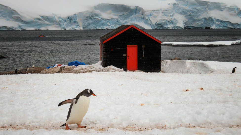 Antarctica: Fancy a job in the most remote post office in the world ...