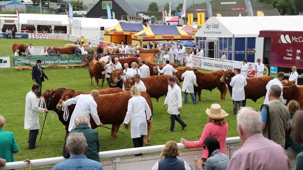 Dim Pentref Ieuenctid yn y Sioe Fawr eleni - BBC Cymru Fyw