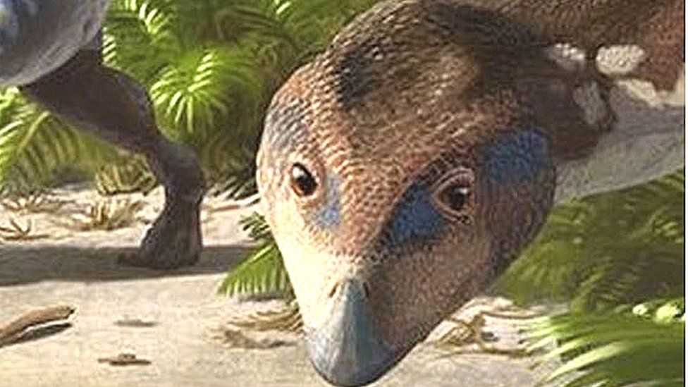 Dinosaur with strange head lived on an island of miniature creatures ...