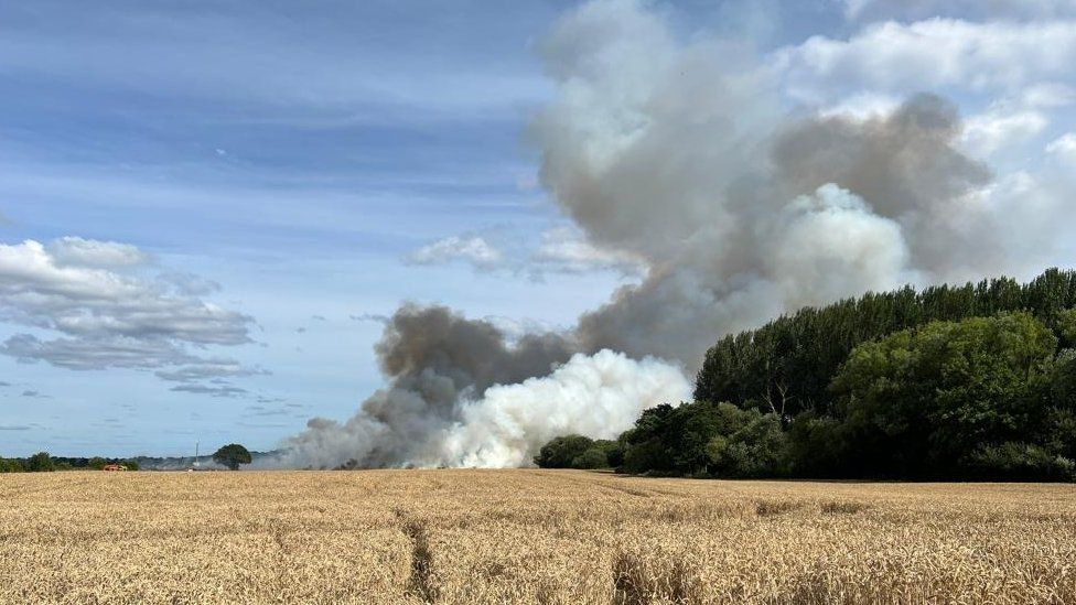 Devon blaze rages across 100 acres of wheat - BBC News