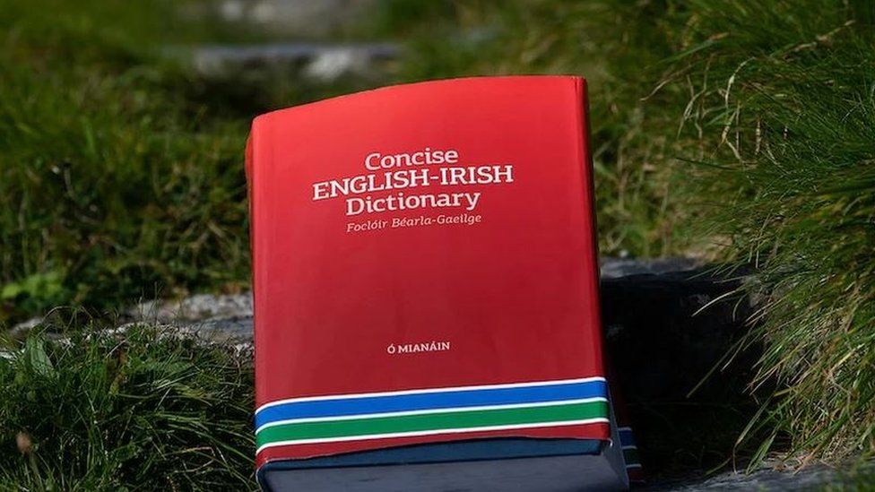 Irish language speakers treated with 'disrespect' - BBC News