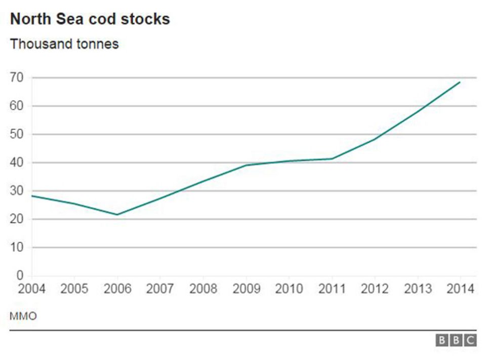 North Sea cod back on the menu, marine body says - BBC News