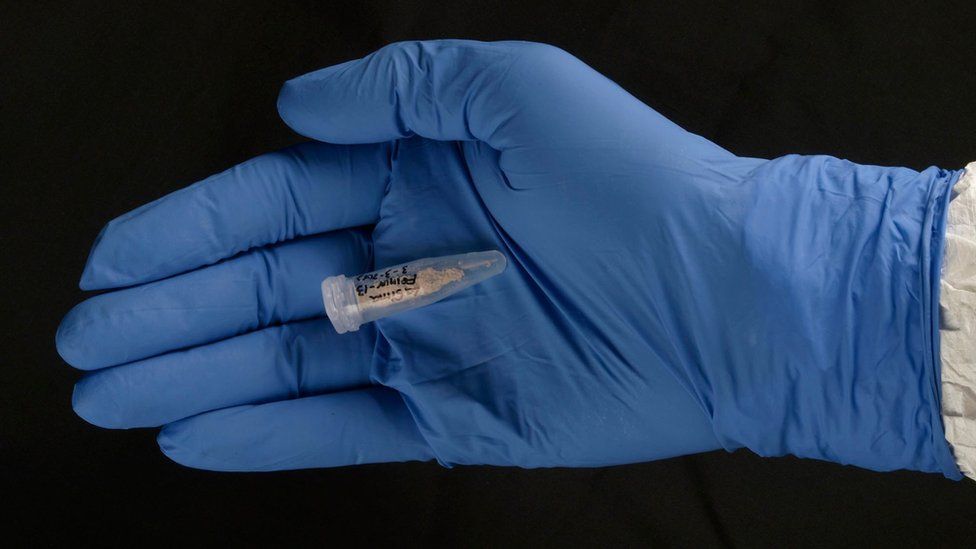 Ancient DNA identifies 'early Neanderthals' - BBC News