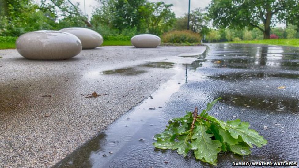 Gallery: Wet, windy weather - BBC Weather