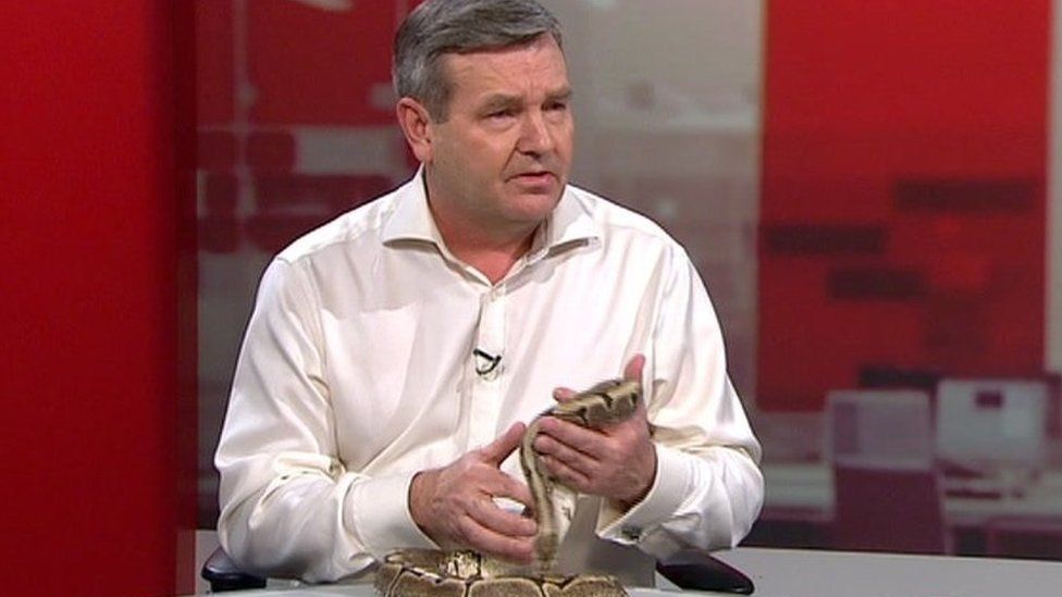 Snake expert doubts pet python killed Daniel Brandon - BBC News