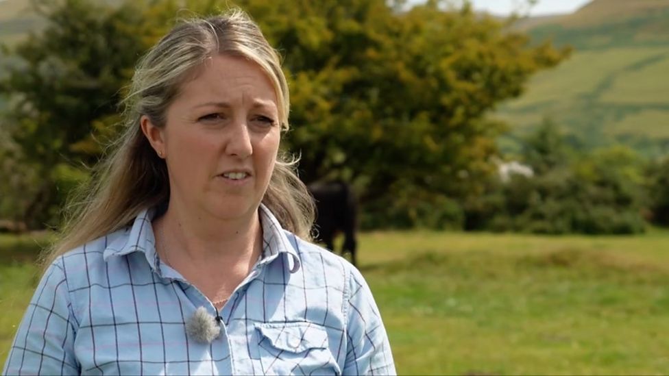 Cornwall farmers give hands-on lessons about food - BBC News