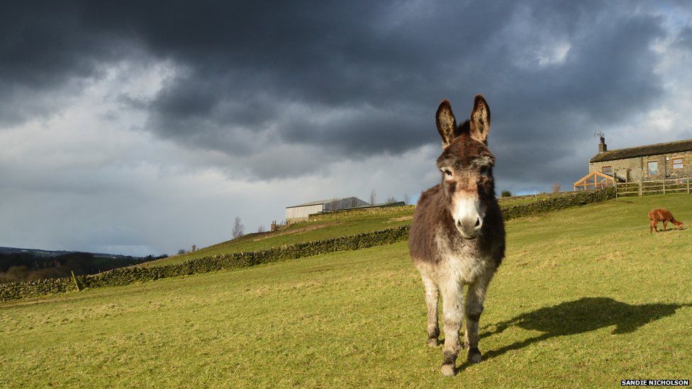Your recent UK photos - BBC Weather