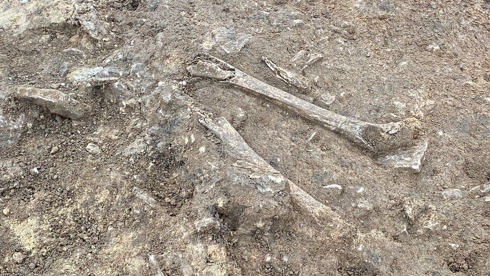 Iron Age skeletons uncovered during Navenby dig - BBC News