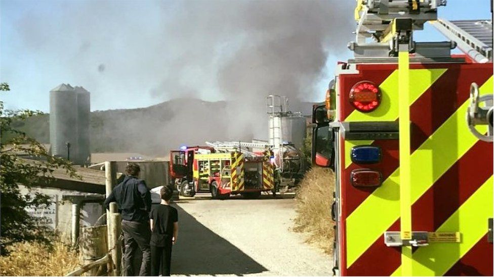Large fire breaks out on Martinstown farm - BBC News