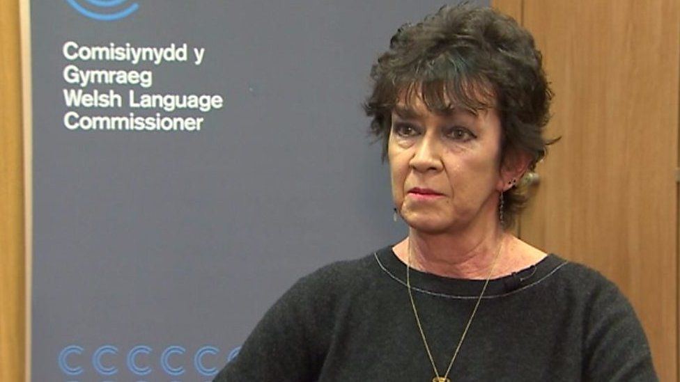 Osgoi siarad yr iaith rhag 'corddi'r swyddogion' - BBC Cymru Fyw