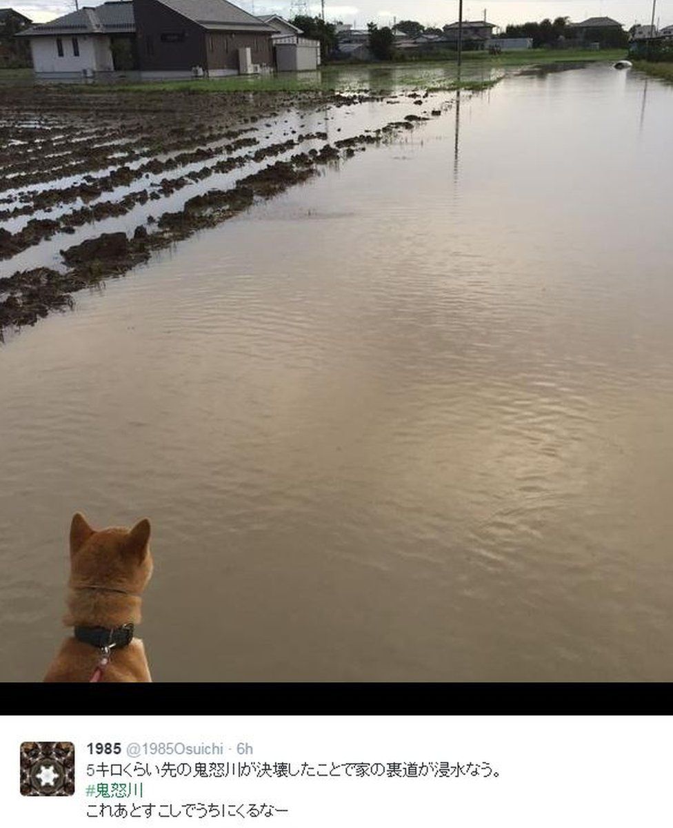 Japan floods: Witnesses tell of fleeing rising waters - BBC News