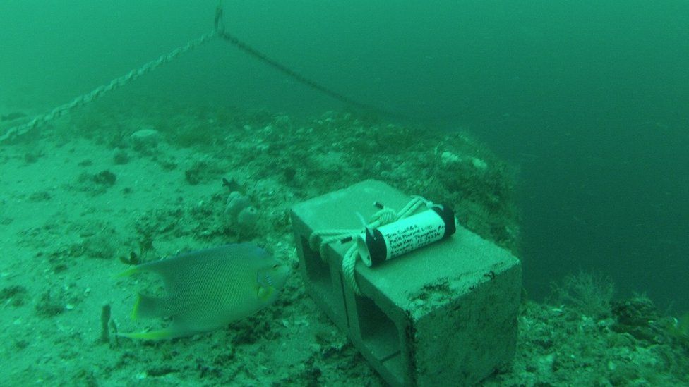 What do we know about the ocean's mysterious blue holes? - BBC Newsround