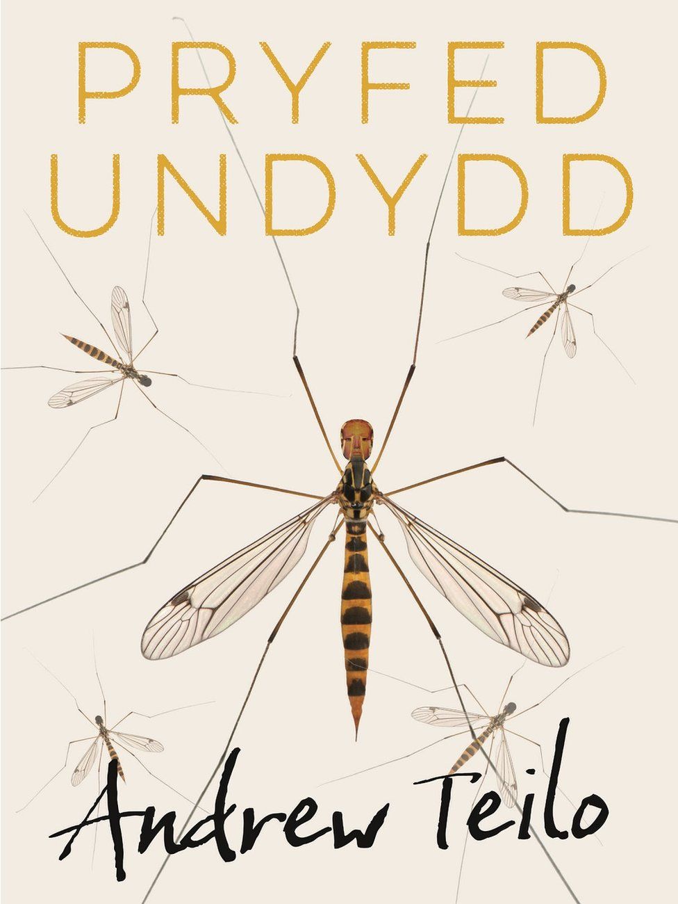 Andrew Teilo: Actor, awdur, cerddor - BBC Cymru Fyw