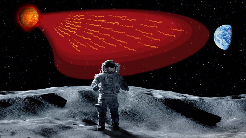 Nasa spacecraft Parker Solar Probe gets close to the Sun - BBC Newsround