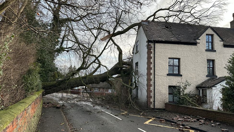 Storm Pia: Fallen trees block roads as strong winds hit region - BBC News