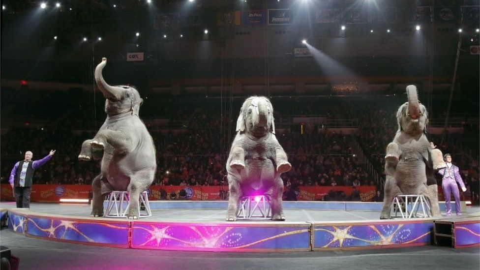 Elephants bow out at top US circus - BBC News