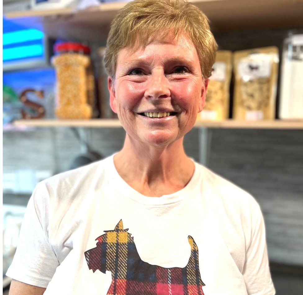 Soft play takes the lead thanks to booming dog economy - BBC News