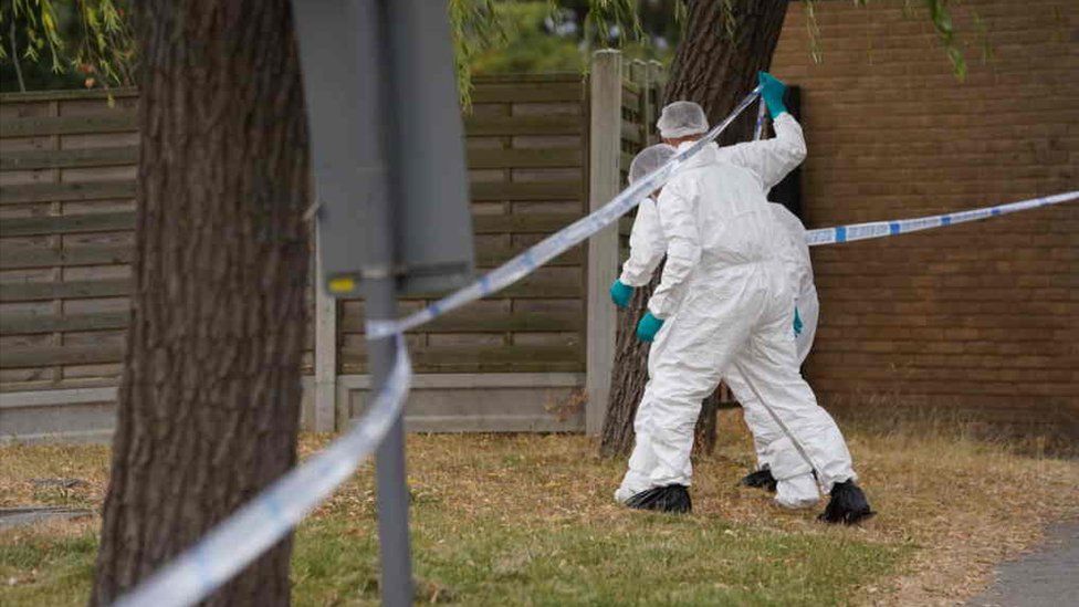 Pitsea murder trial: Madison Wright 'killed by controlling partner ...