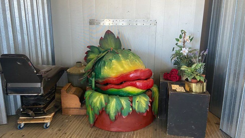 Performers 'devastated' by Solihull theatre RAAC closure - BBC News