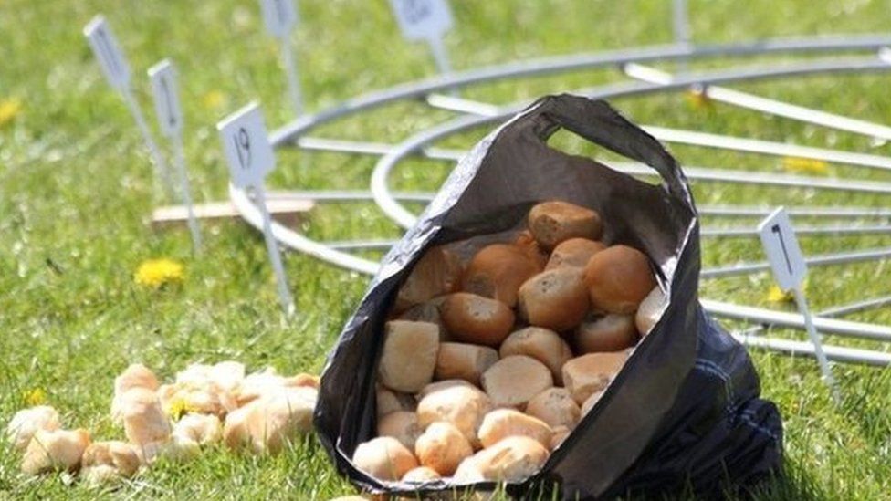 Coronavirus: Dorset knob-eating contest held online amid lockdown - BBC ...