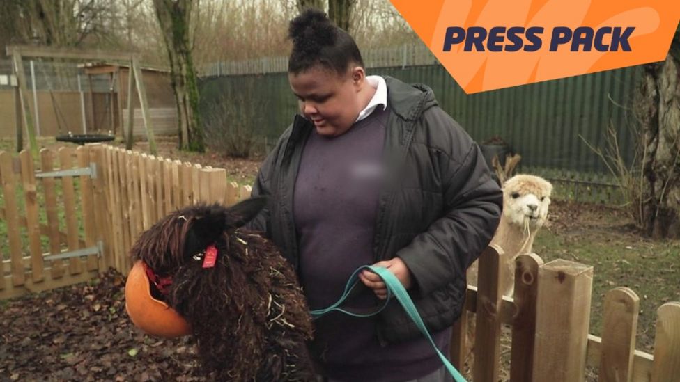 Calne school uses animal therapy to help autistic children - BBC News